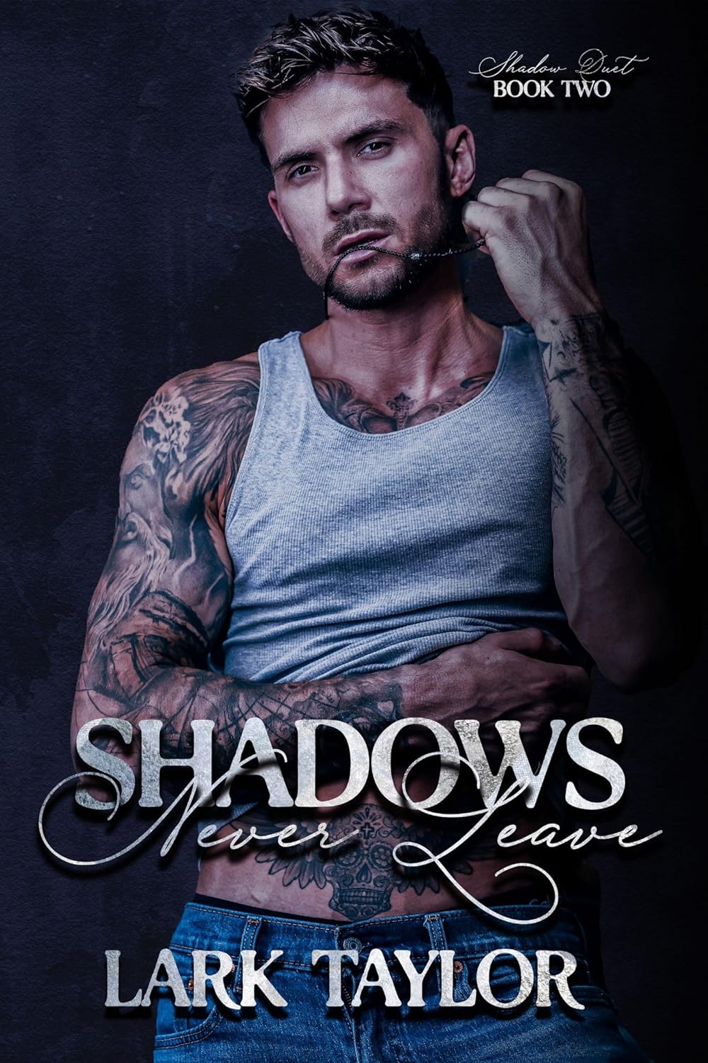 Release Day Review: Shadows Never Leave by Lark Taylor (Shadow Duet ...